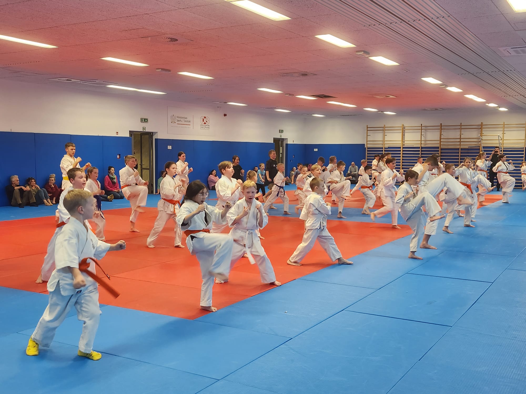 Stopnie w Karate Kyokushin – Tatrzański Klub Karate Kyokushin