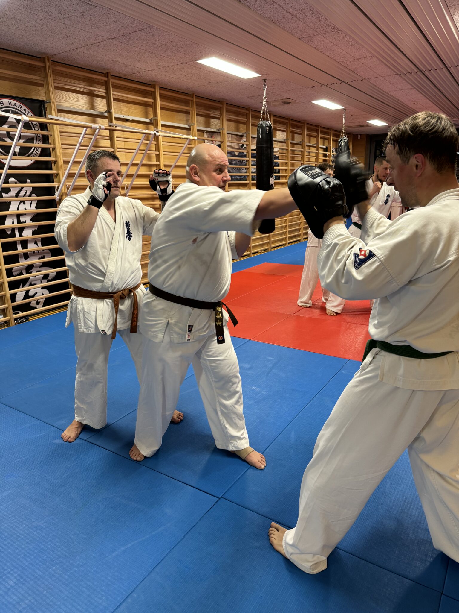 Stopnie w Karate Kyokushin – Tatrzański Klub Karate Kyokushin